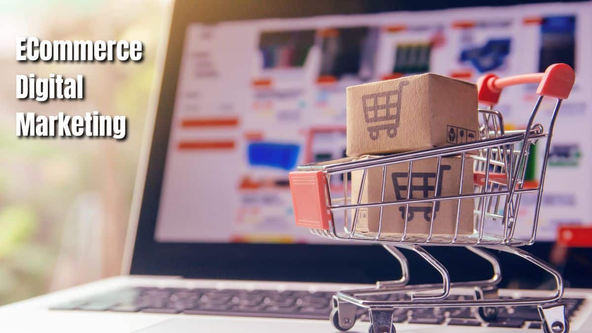 ECommerce Digital Marketing | Search Markup